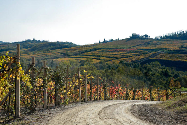 Fantinel | Volio Imports