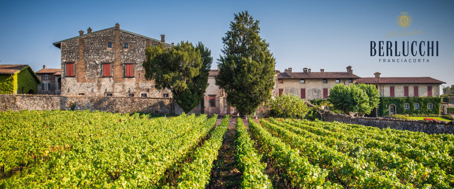 Volio Imports | Connecting Customers to Vineyards