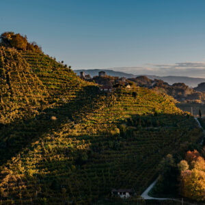 Producers and Wines | Volio Imports