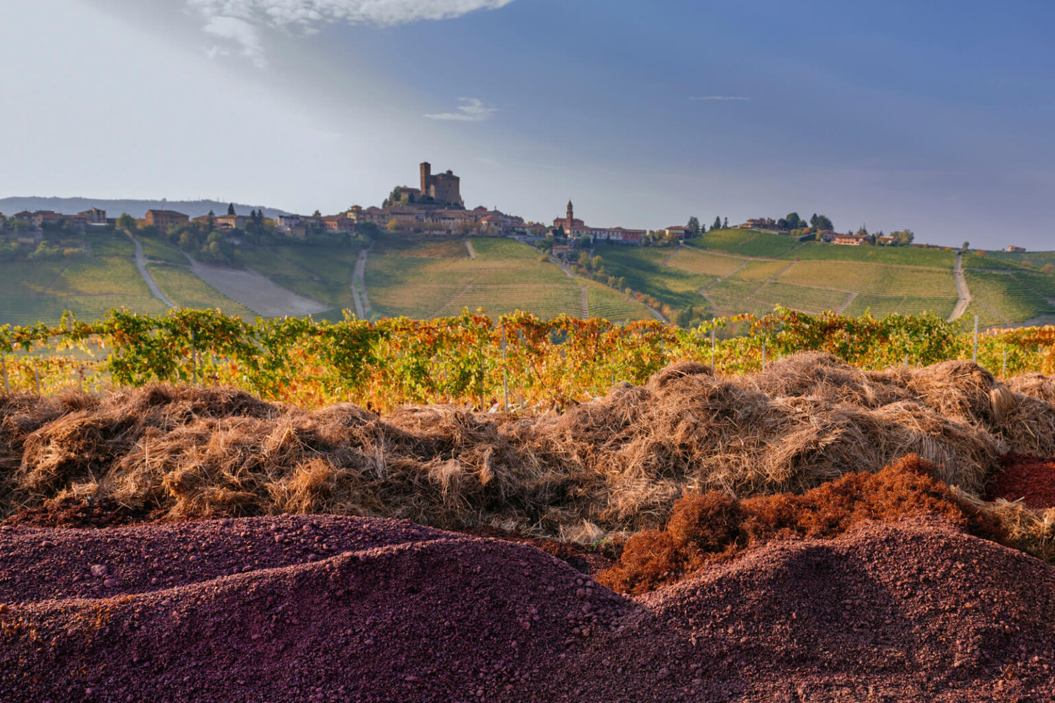 Volio Imports | Connecting Customers to Vineyards